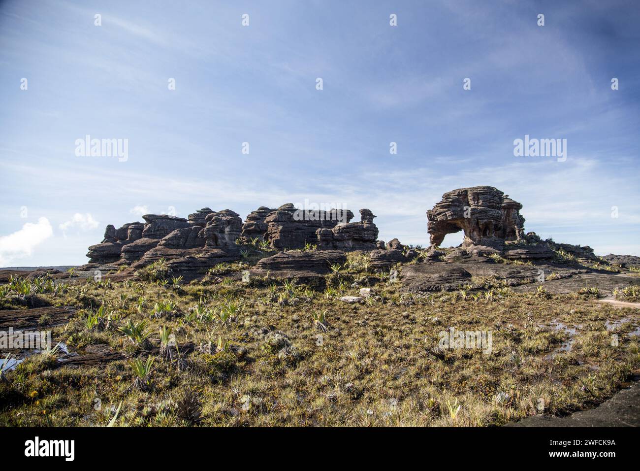 South america rock formation hi-res stock photography and images - Alamy