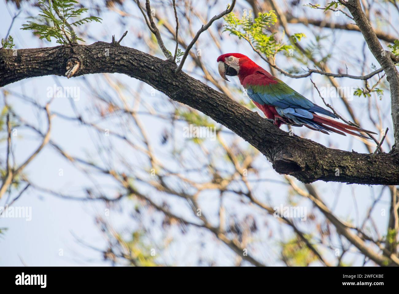 Morro do diabo state park hi-res stock photography and images - Alamy