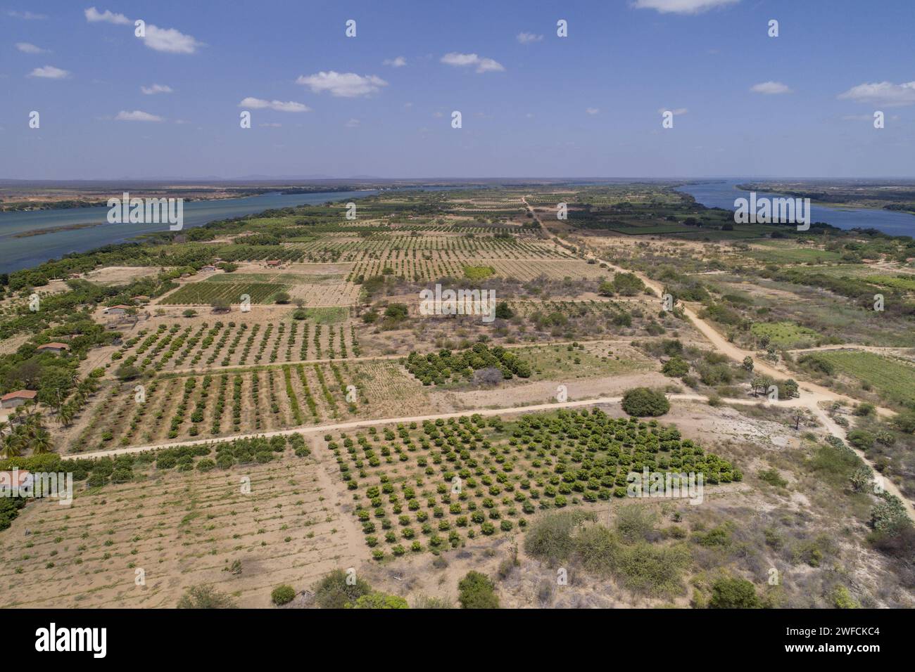 View of irrigated fruit druid with waters of the São Francisco River ...