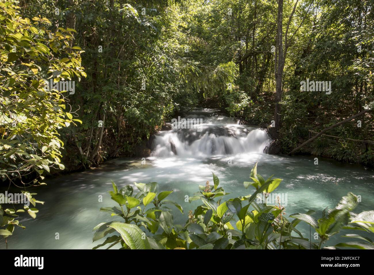 Formiga waterfall hi-res stock photography and images - Alamy