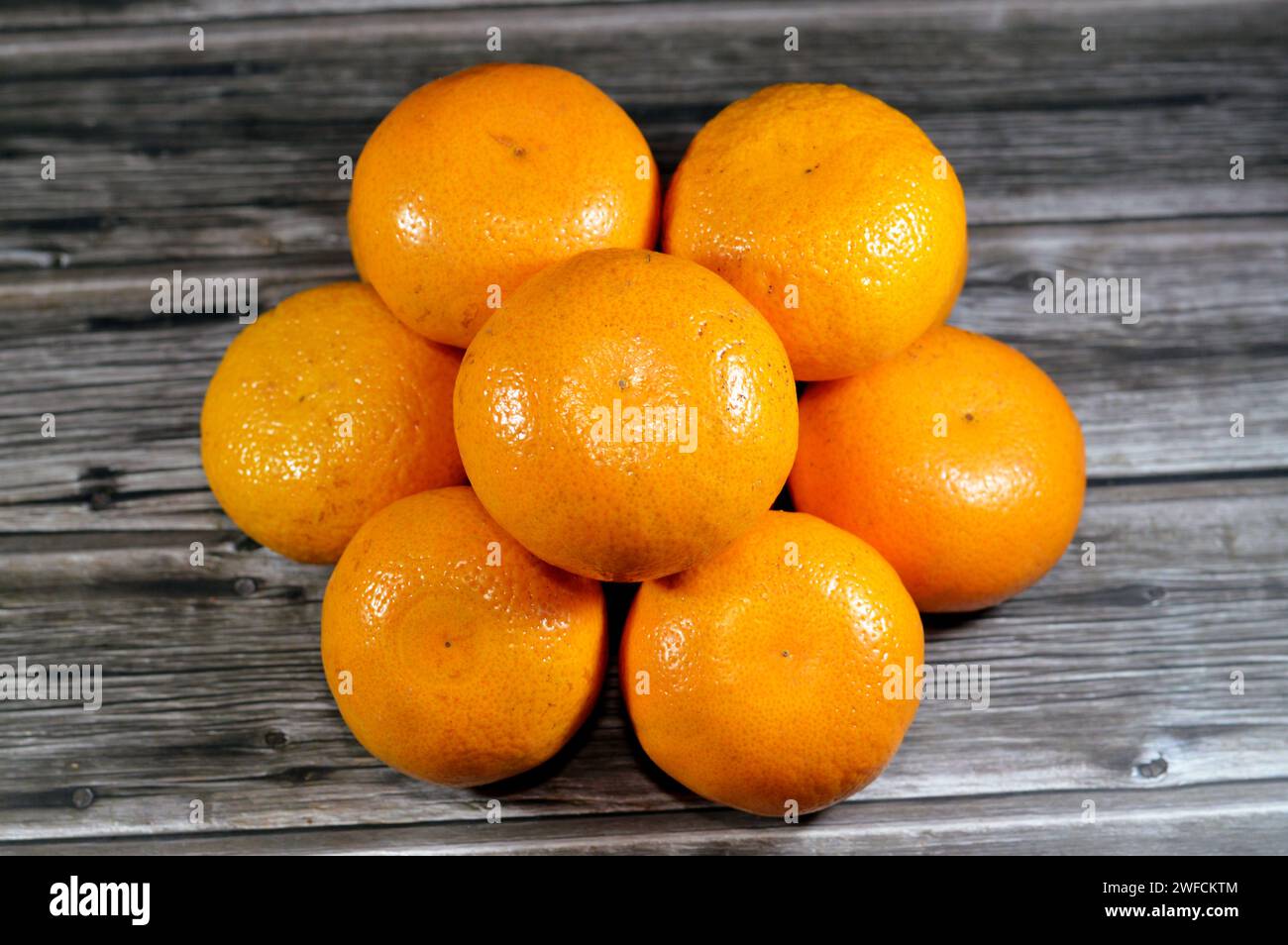 The mandarin orange (Citrus reticulata), also known as the mandarin or ...