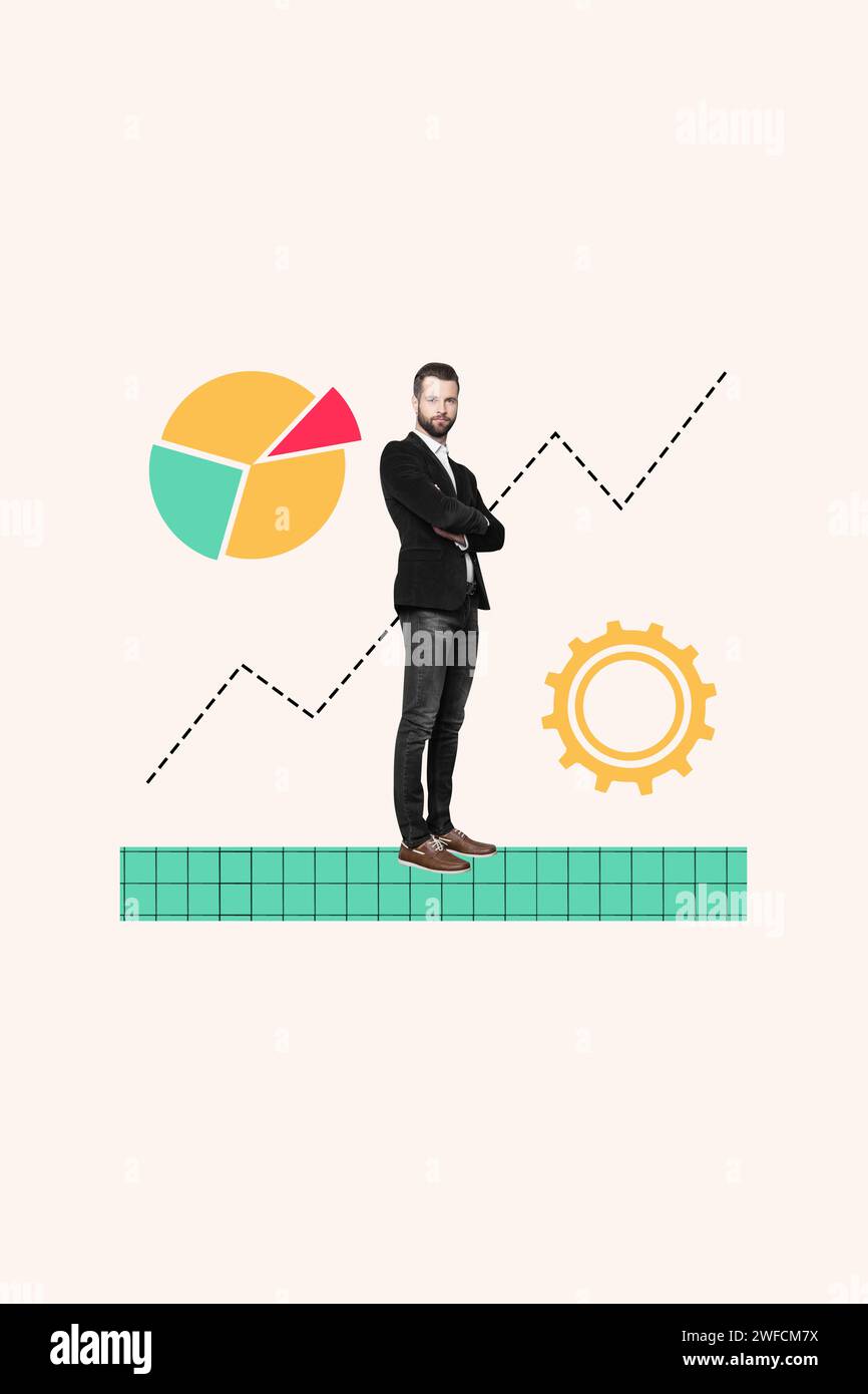 Vertical collage picture illustration attractive young beard ...