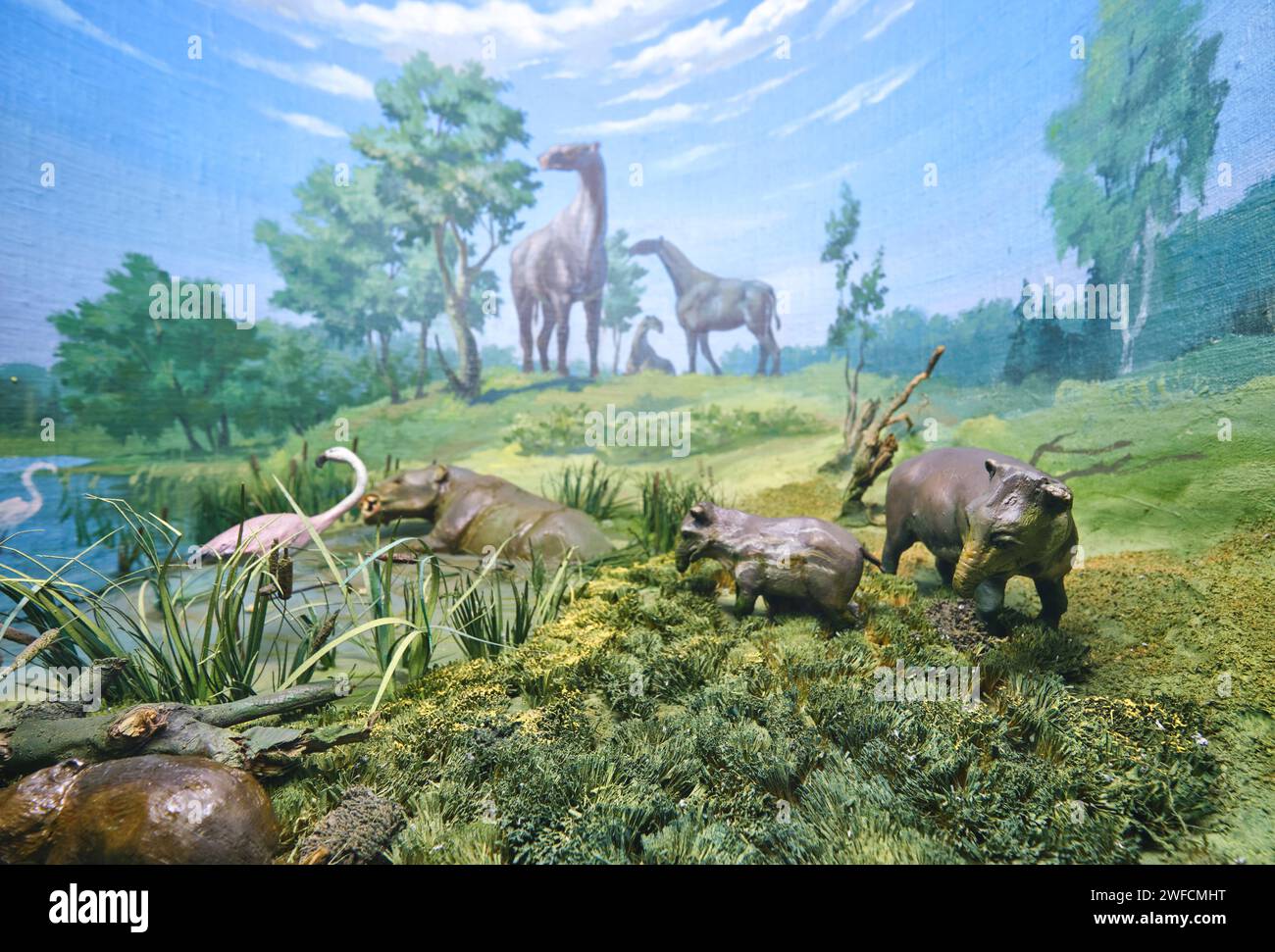 View of a diorama featuring a dinosaur bathing scene with flamingo. At ...