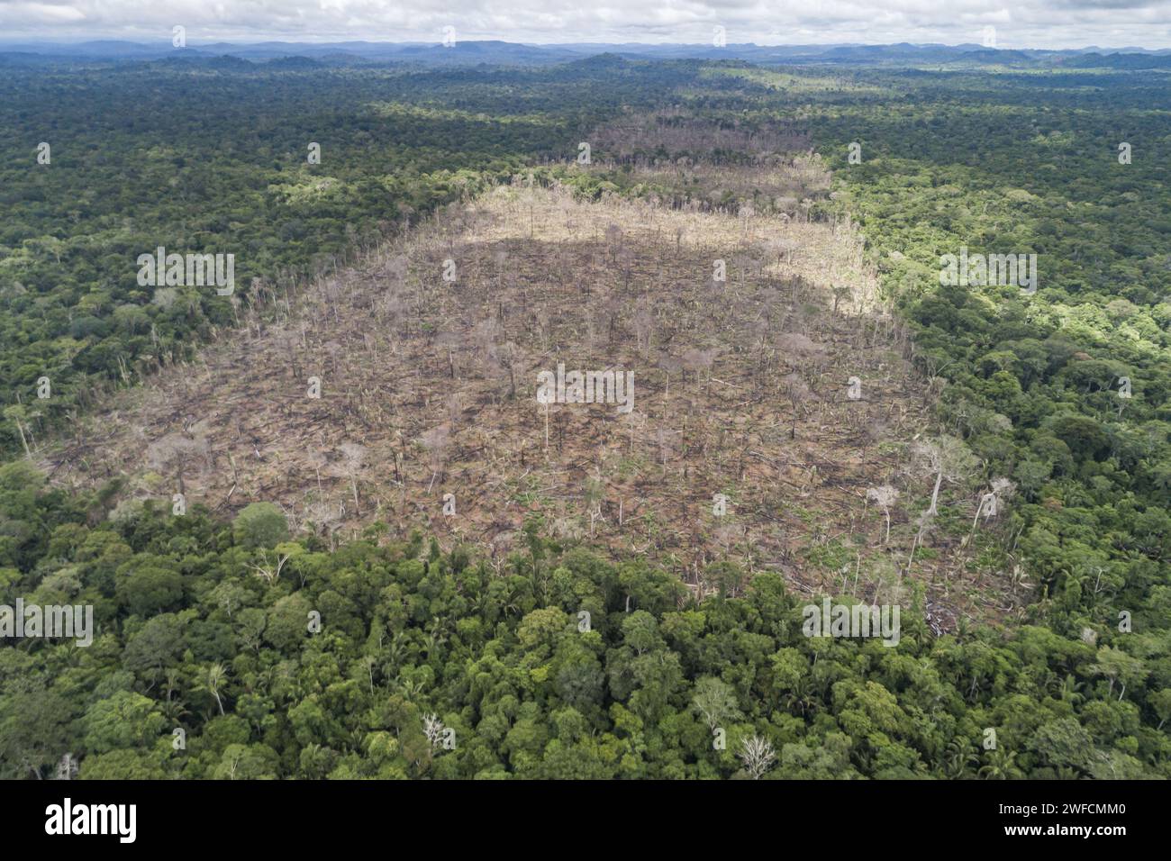 Rainforest deforestation aerial view hi-res stock photography and ...