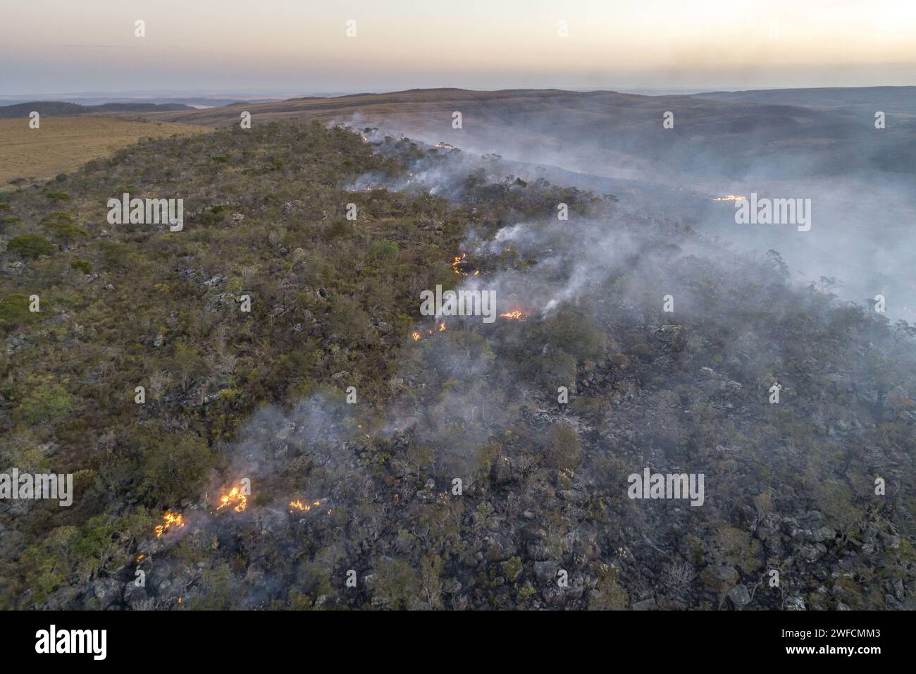 View of fire drone in native forest of the Cerrado in Chapada dos ...