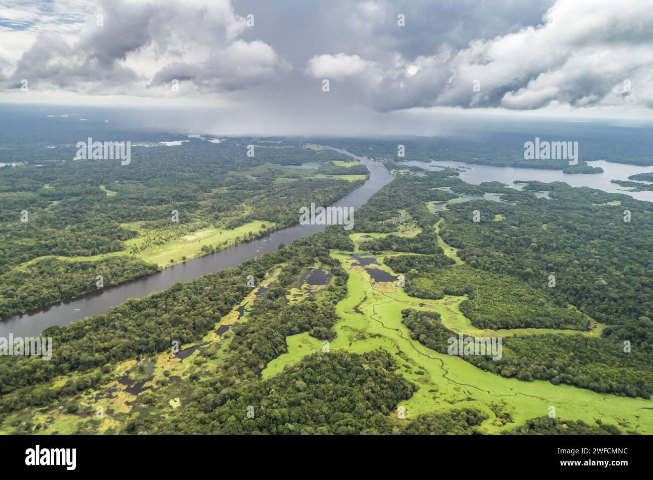 Amazon rainforest brazil river hi-res stock photography and images - Alamy
