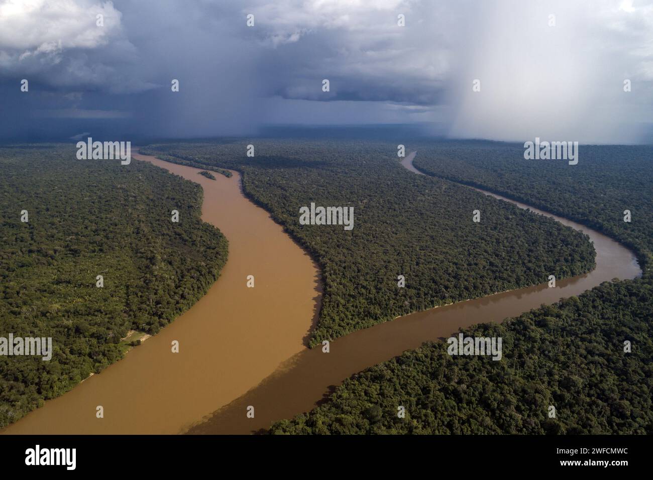 Guariba river hi-res stock photography and images - Alamy