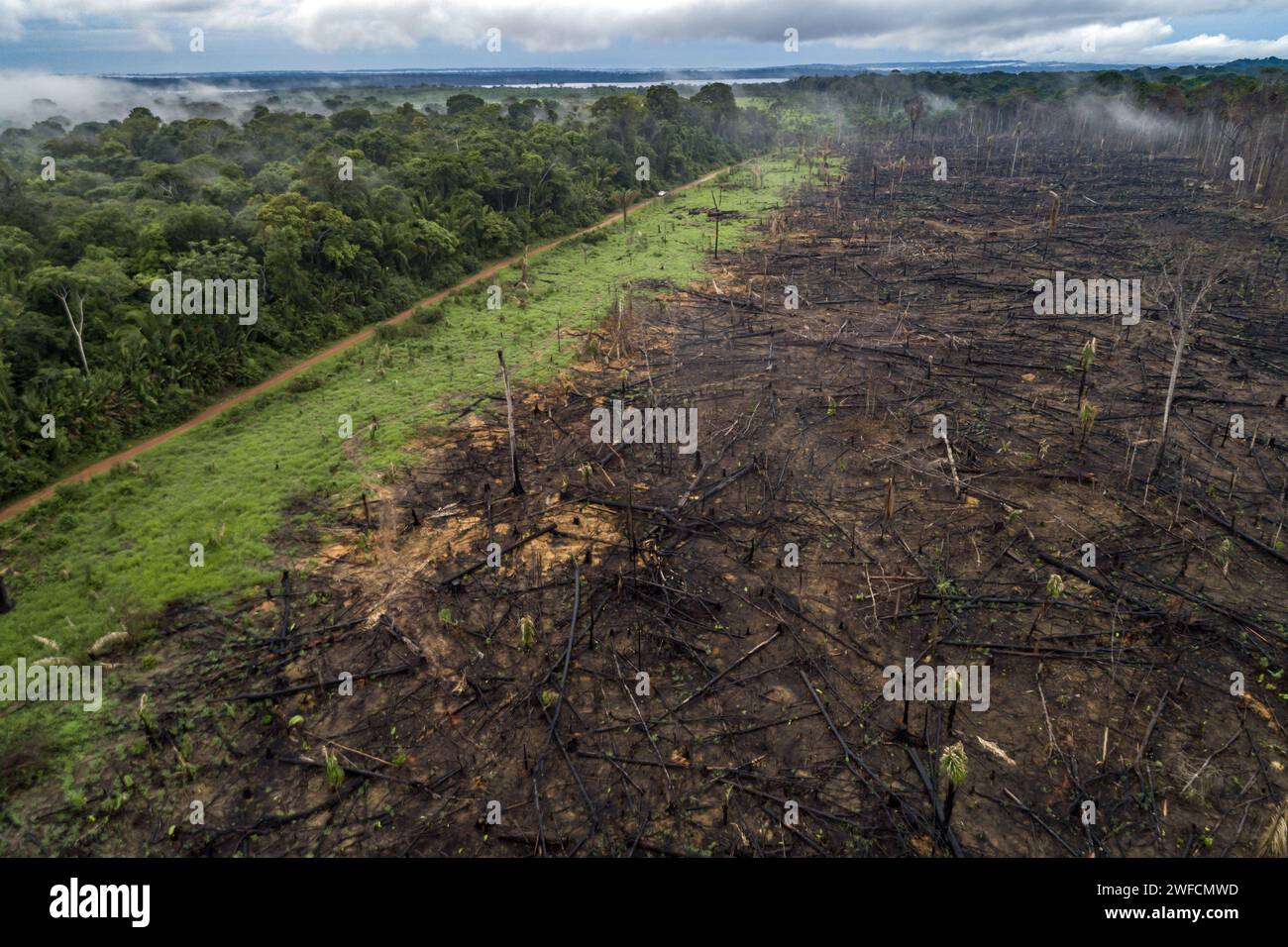 Rainforest deforestation aerial view hi-res stock photography and images - Alamy