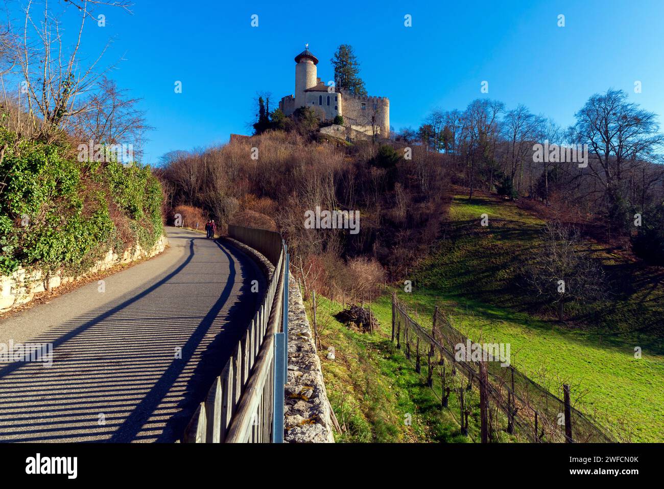 Birseck Castle (Burg Birseck) is located in the municipality of ...