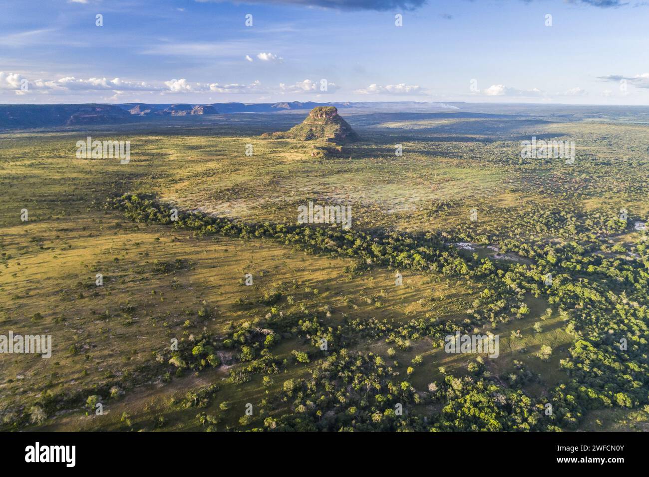 Drone view of savanna vegetation and rock formation in Chapada das ...