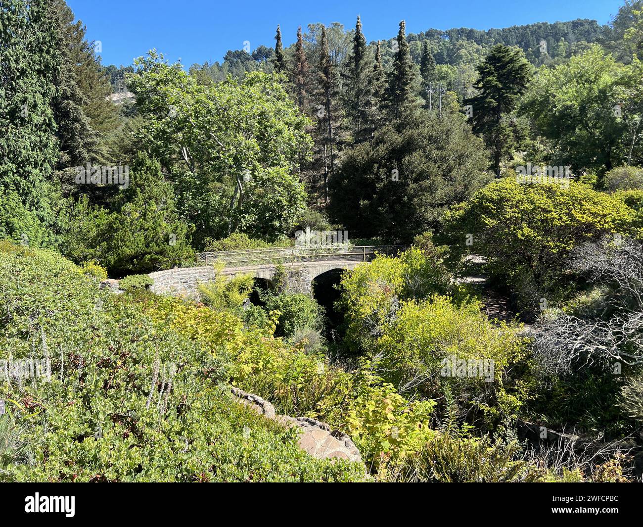 Stone bridge amidst lush greenery at Regional Parks Botanic Garden on a ...