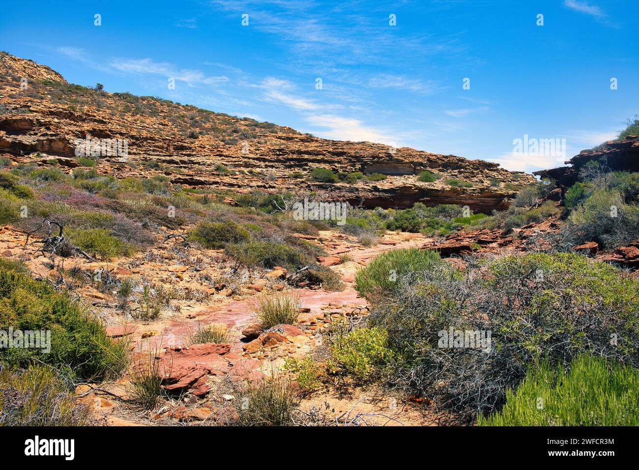Dry riverbed australia hi-res stock photography and images - Alamy