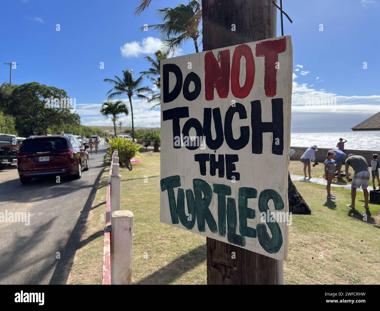 Warning sign urging DO NOT TOUCH THE TURTLES amidst a mix of flora ...