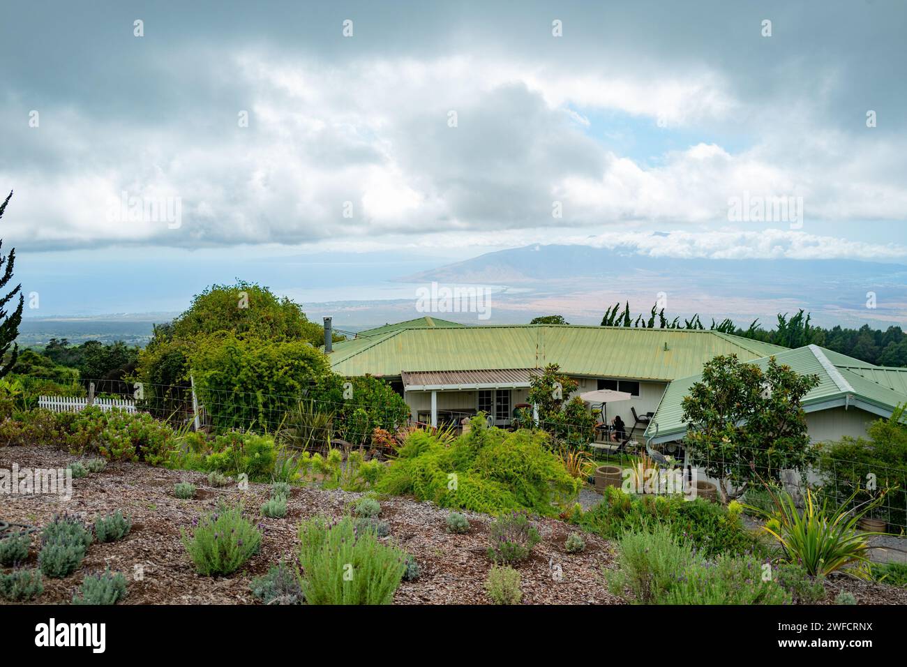 Aerial view of buildings and upcountry area, with Wailea visible in ...