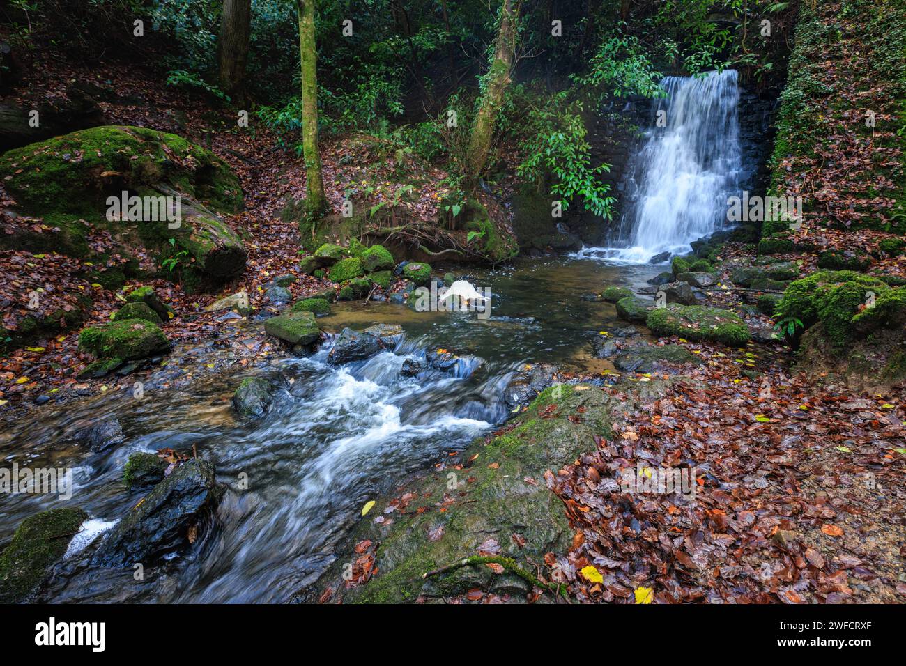 Afon meigan hi-res stock photography and images - Alamy