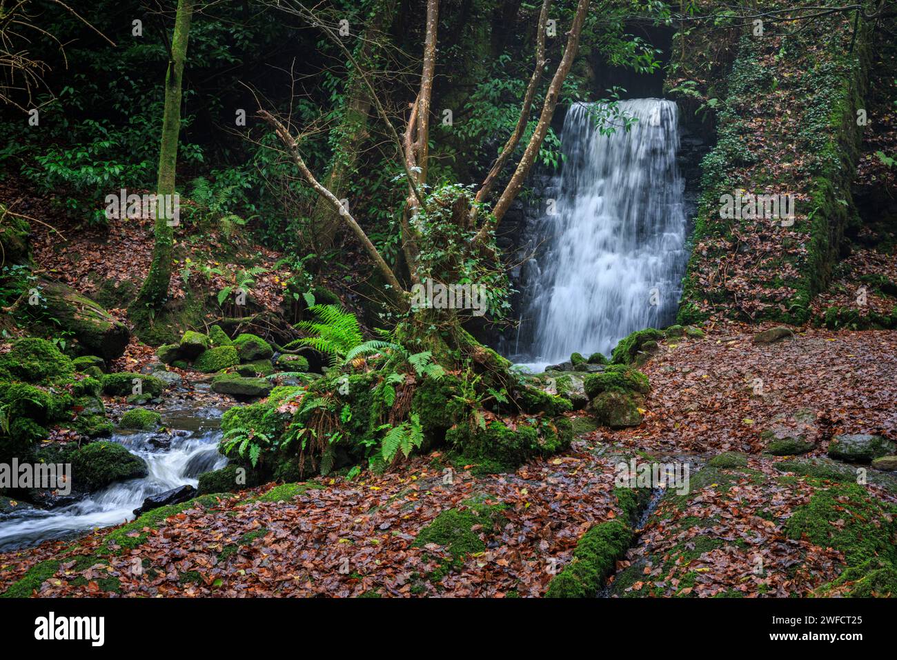 The Mill Race waterfall on the Afon Meigan at Beaumaris, Anglesey ...