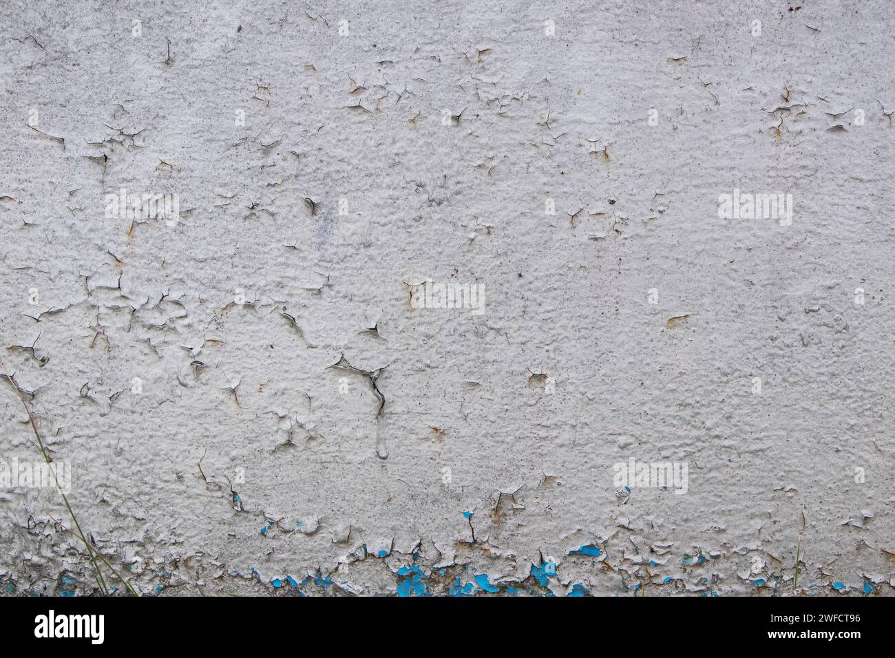 Peeling paint on the wall. Panorama of a concrete wall with old cracked flaking paint. Weathered ...