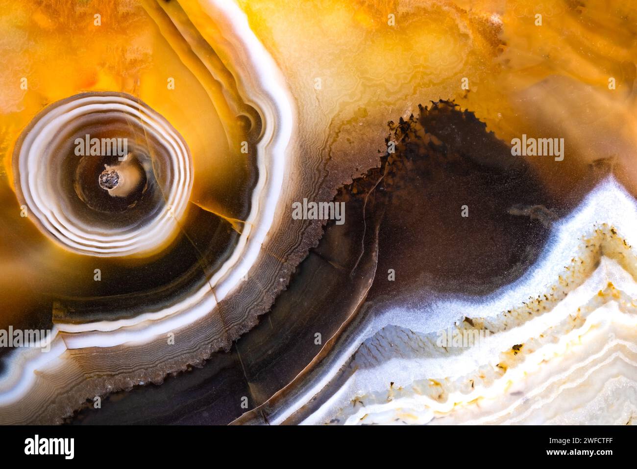 Agate slice macro photography detail texture. From Vaal River, South ...
