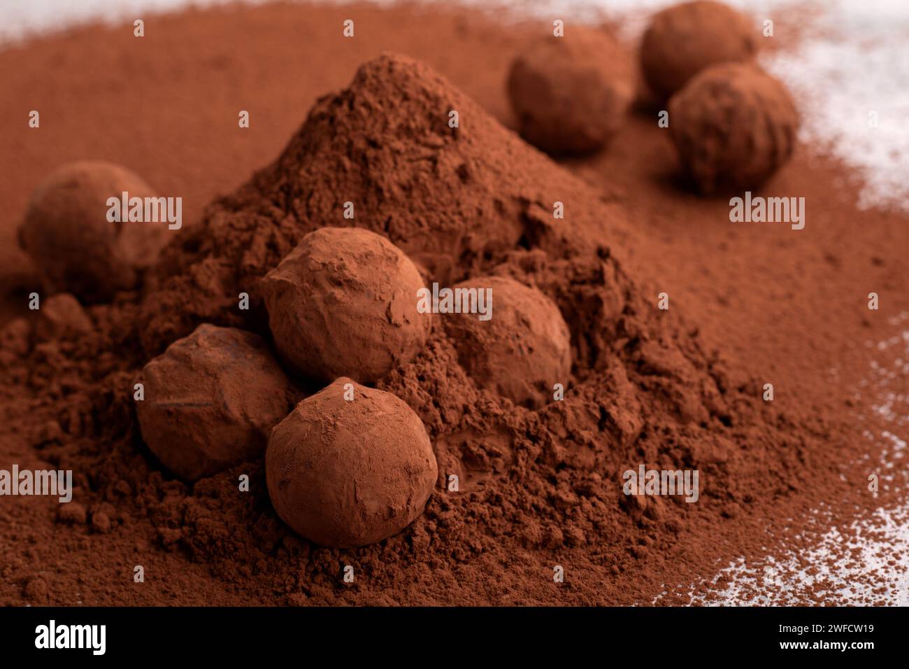 chocolate truffle, gourmet, bonbon, dessert, dark, ball, powder, cocoa ...