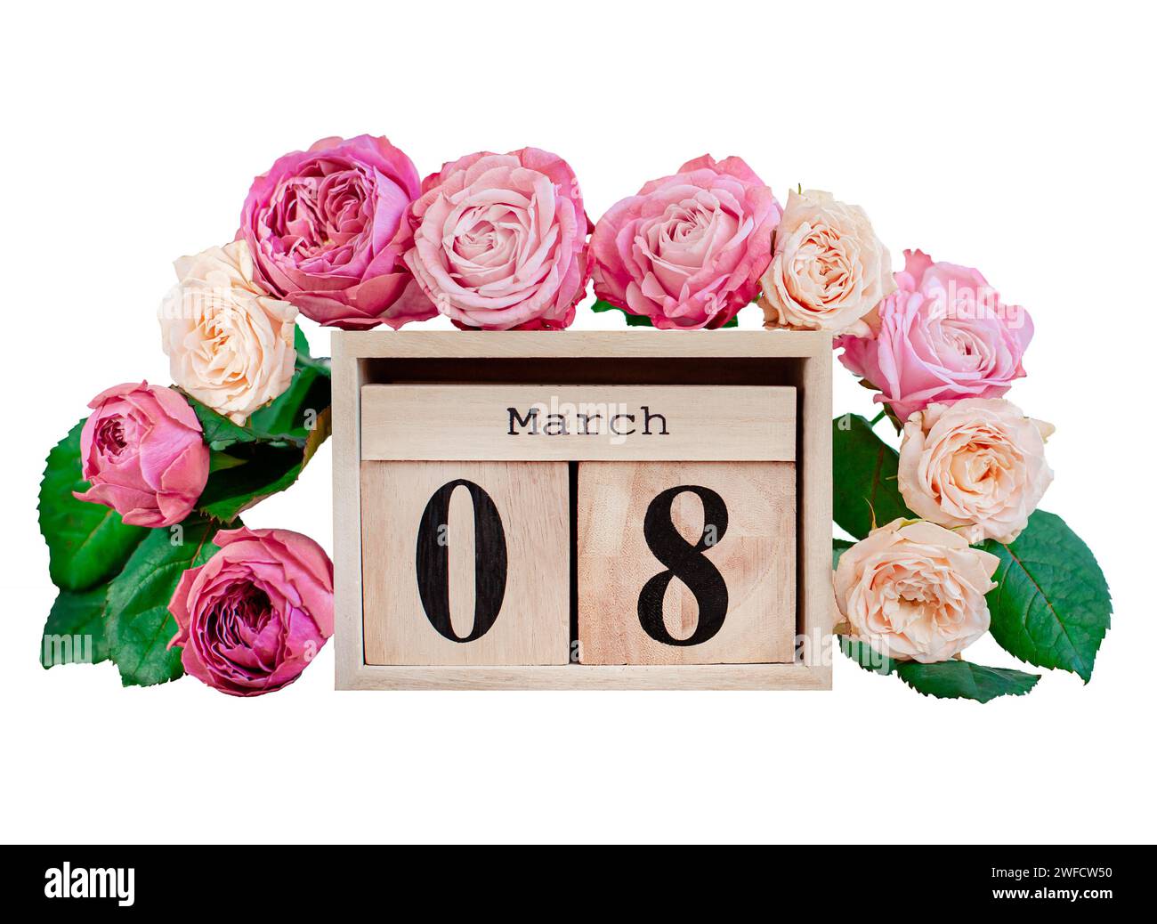 Beautiful pink roses and wooden calendar on isolated white background ...