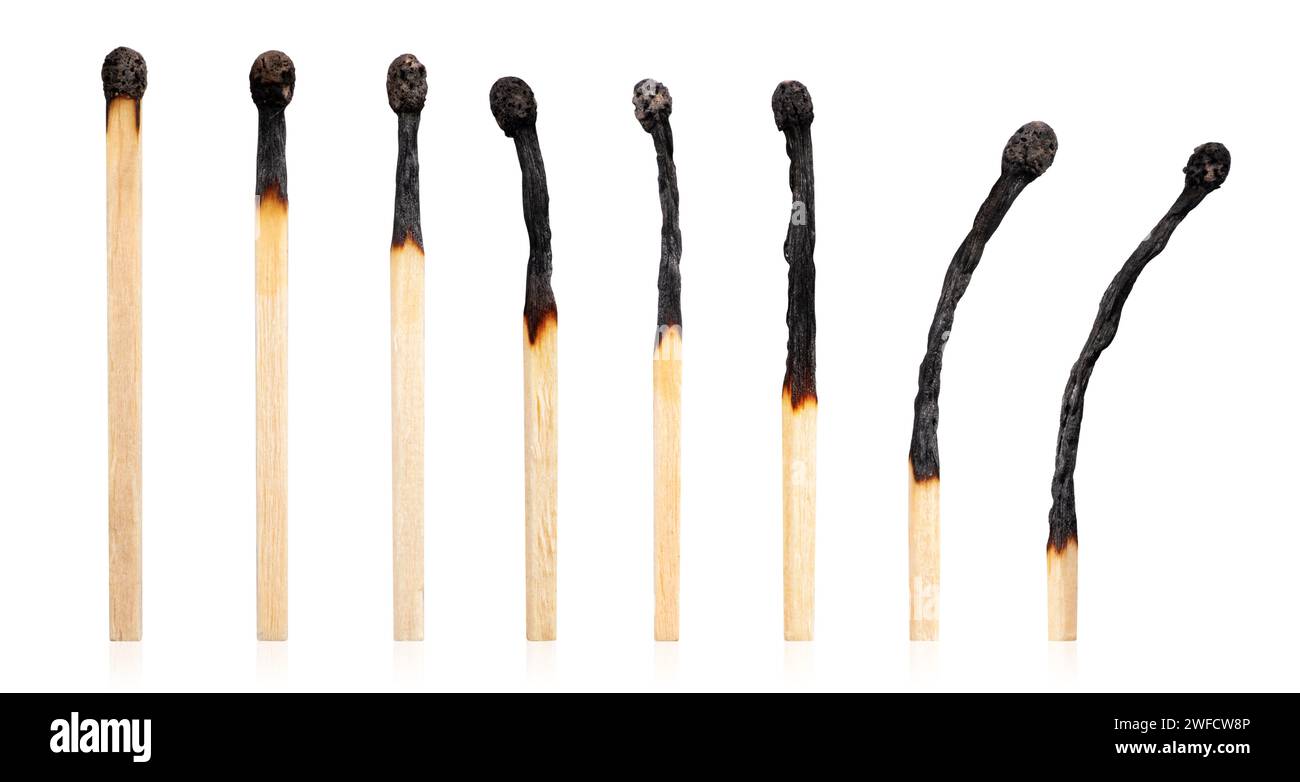 Burnt matches isolated on white. Box of matches. Different stages of ...