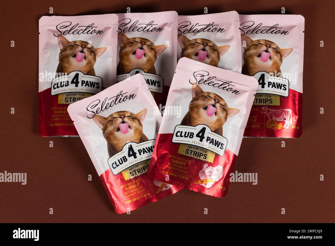 Club 4 paws hi-res stock photography and images - Alamy