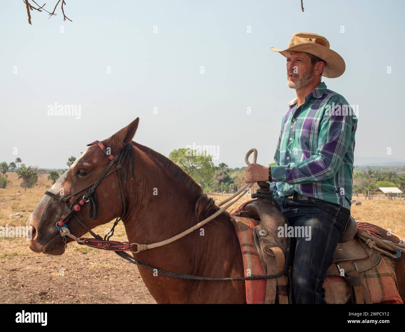 Cowboy is riding his horse on a cattle farm on dry prairie Stock Photo ...
