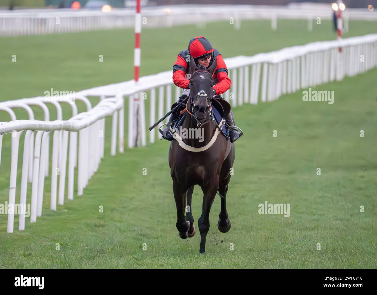 Les's Destiny Star wins Sky Sports Racing HD Virgin 519 Open National ...