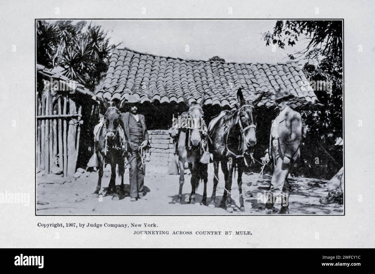 JOURNEYING ACROSS COUNTRY BY MULE Stock Photo - Alamy