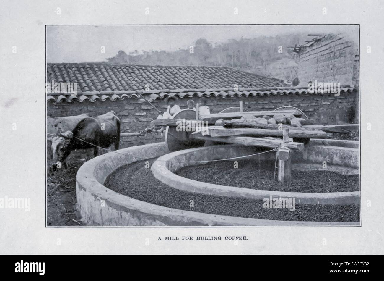 A MILL FOR HULLING COFFEE Guatemala 1909 Stock Photo - Alamy