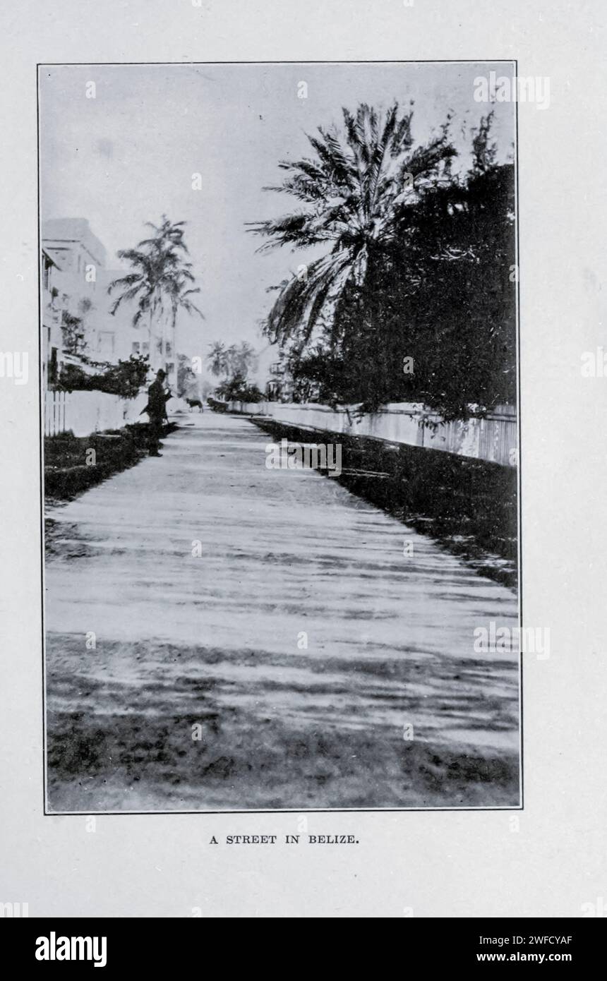 A STREET IN BELIZE Stock Photo - Alamy