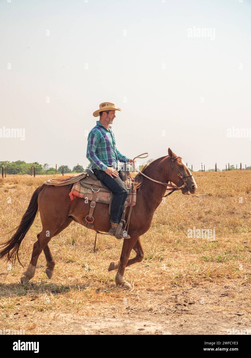 Cowboy is riding his horse on a cattle farm on dry prairie Stock Photo ...