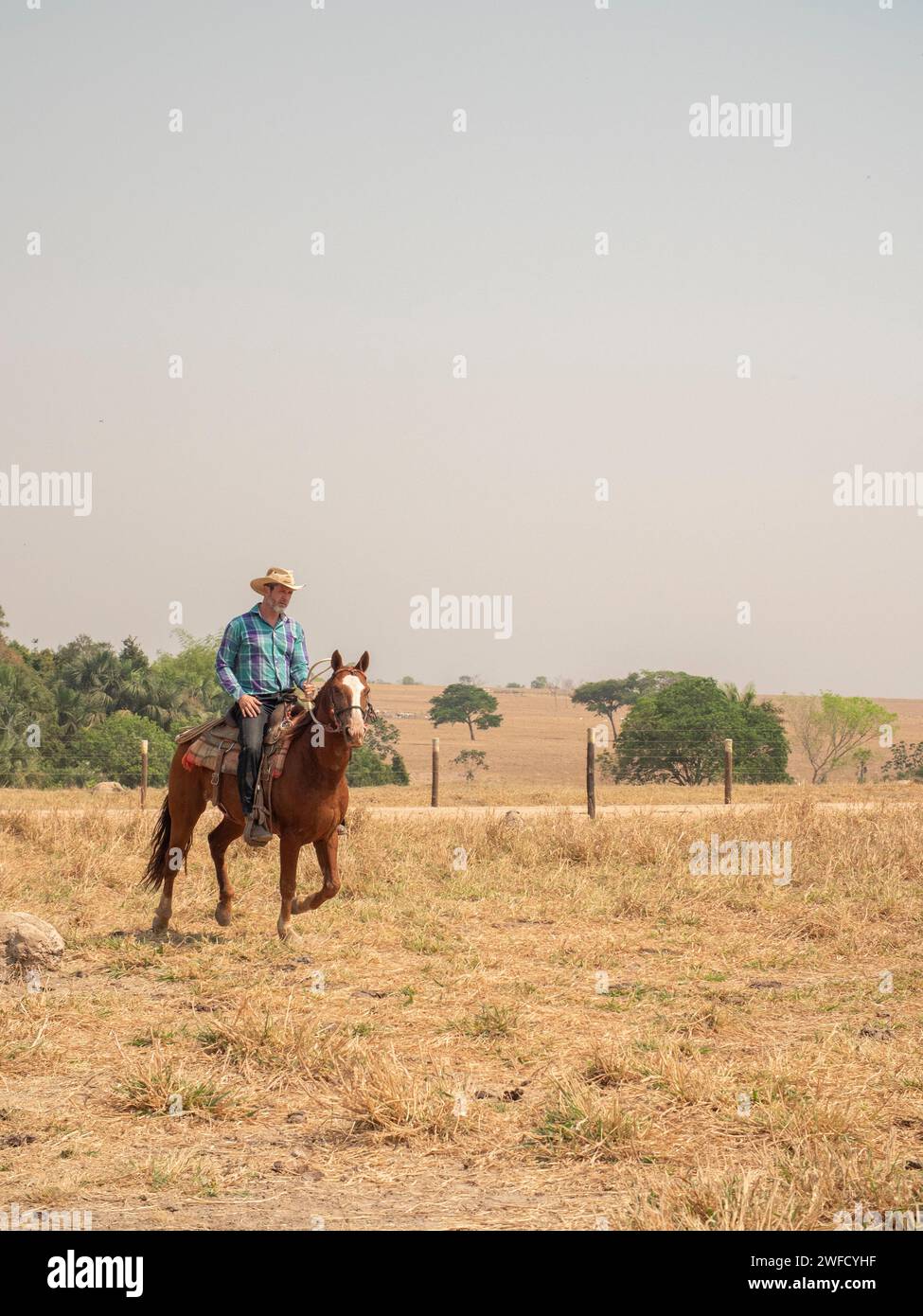 Cowboy is riding his horse on a cattle farm on dry prairie Stock Photo ...