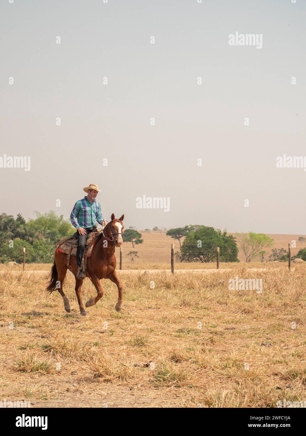 Cowboy is riding his horse on a cattle farm on dry prairie Stock Photo ...