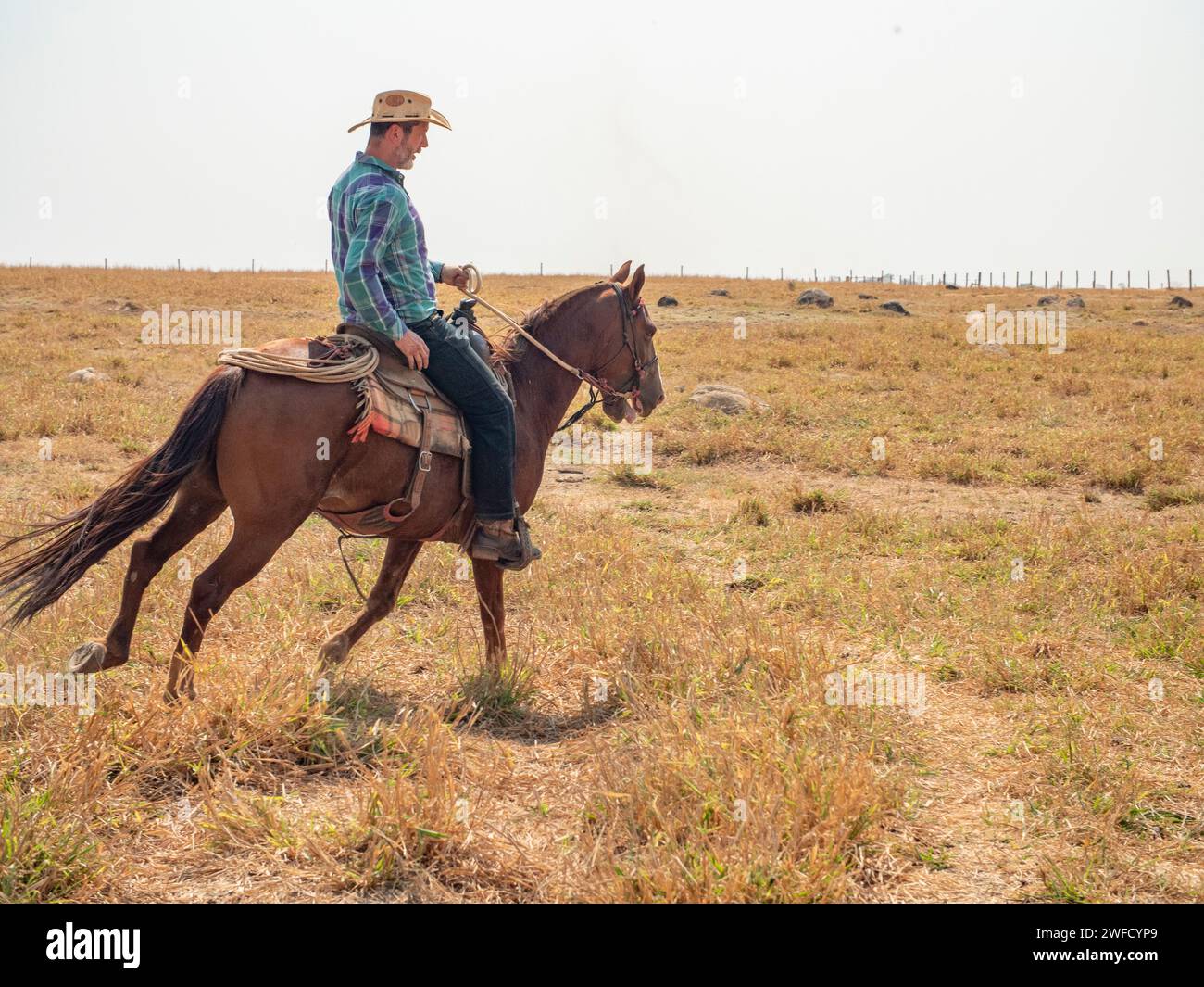Cowboy is riding his horse on a cattle farm on dry prairie Stock Photo ...