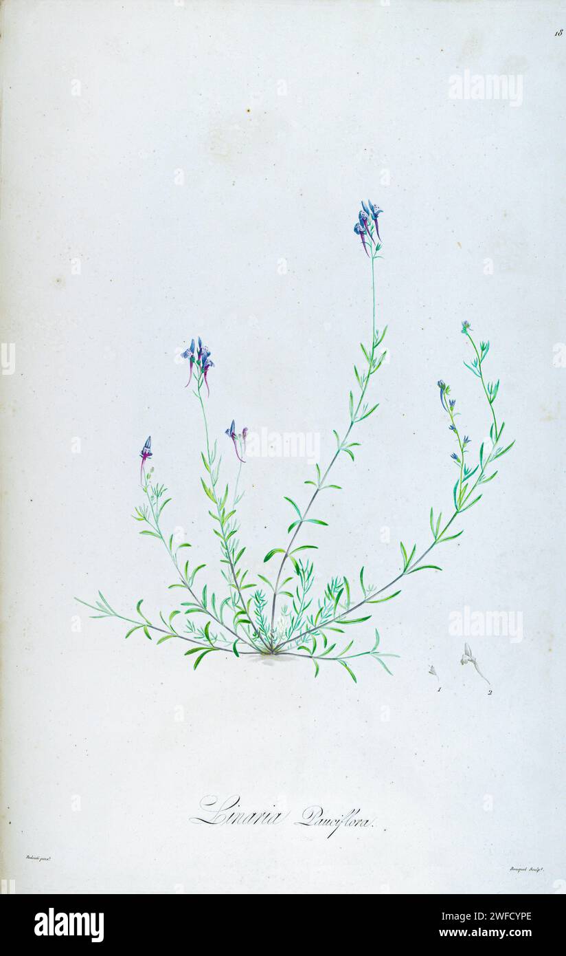 Pierre aime hi-res stock photography and images - Alamy