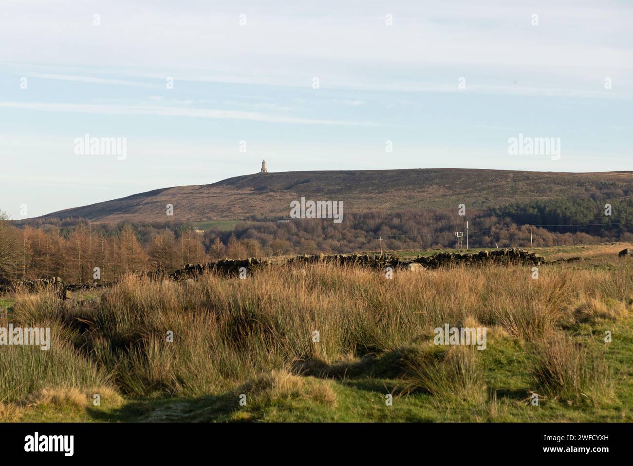 Darwen Tower viewed from Roddlesworth Moor The West Pennine Moors ...