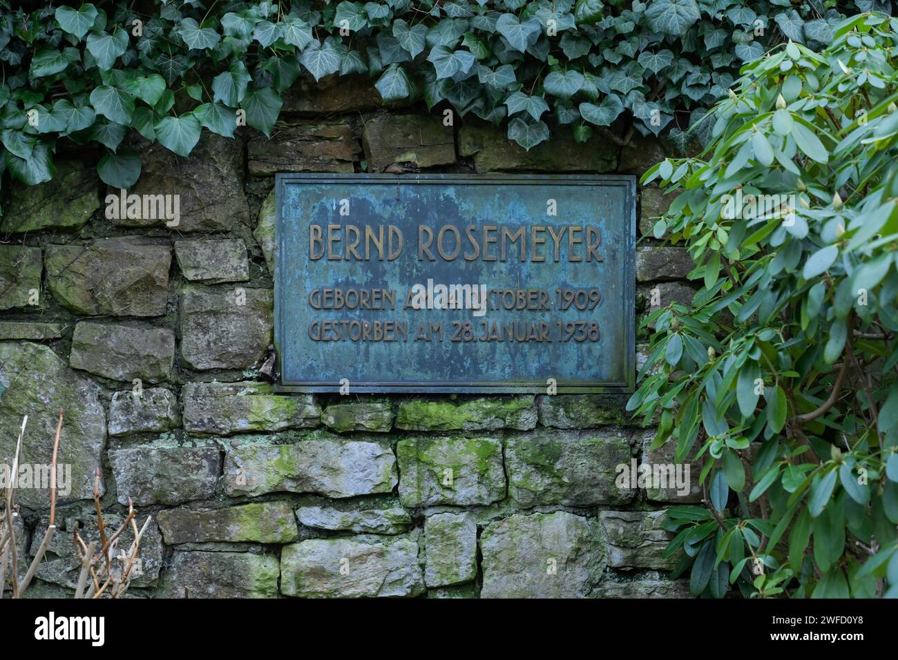 Bernd rosemeyer hi-res stock photography and images - Alamy
