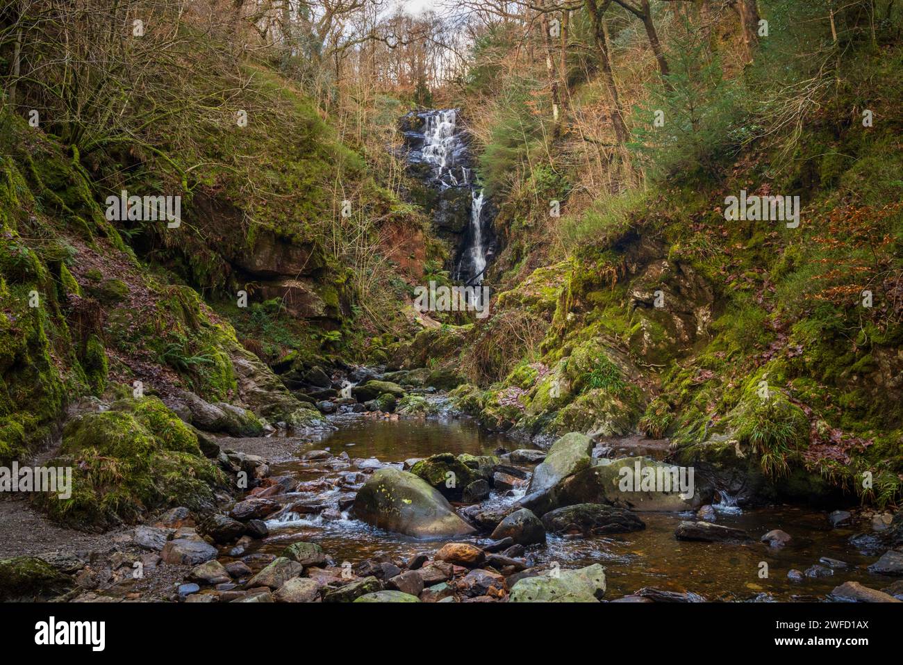 A waterfall on the Allt a’ Mhangam burn in the Queen Elizabeth forest ...