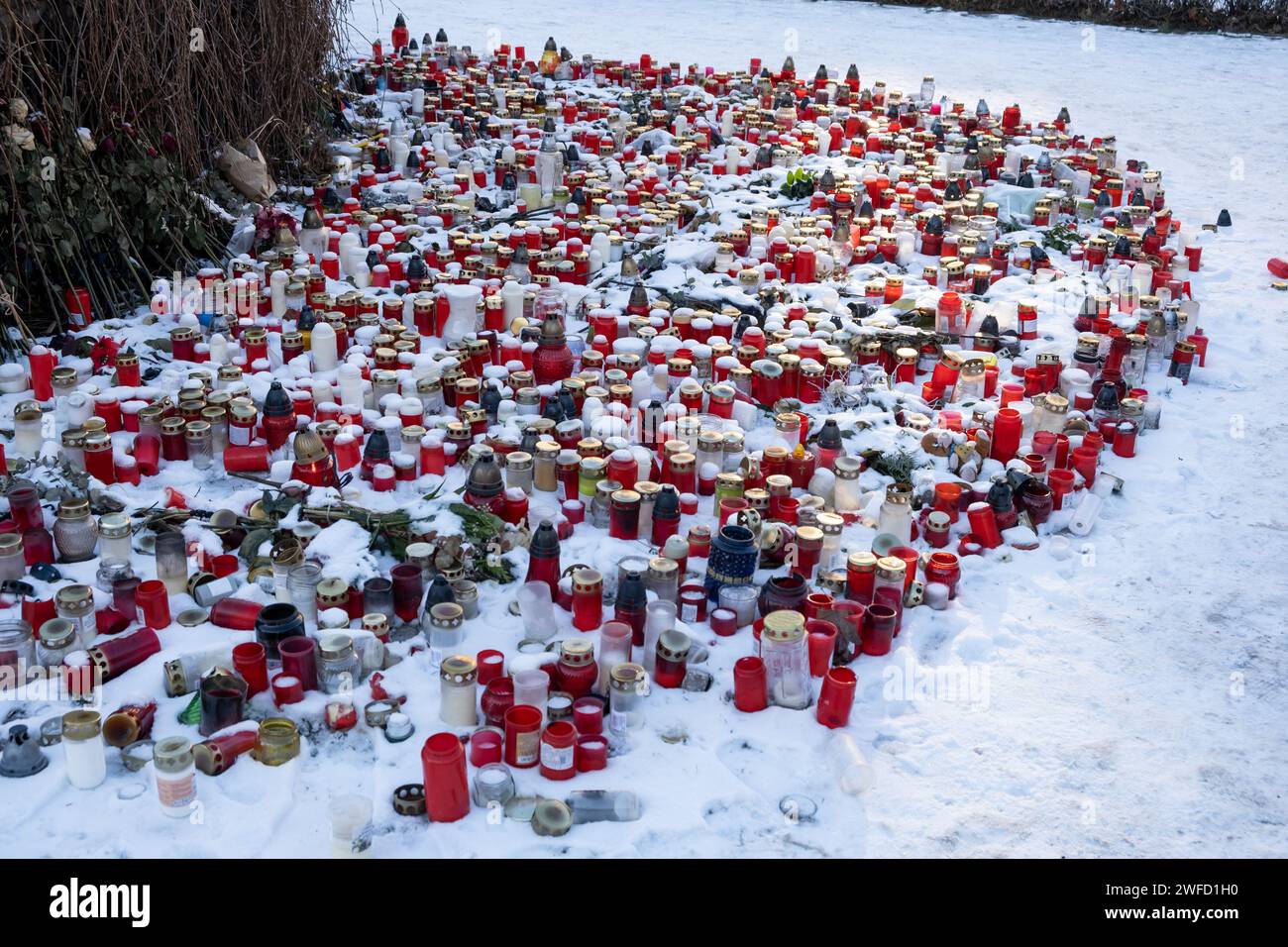 A lot of memorial candles in the snow on a day of mourning in memory of ...