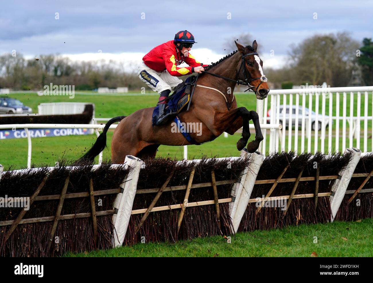 Cuthbert dibble horse hi-res stock photography and images - Alamy