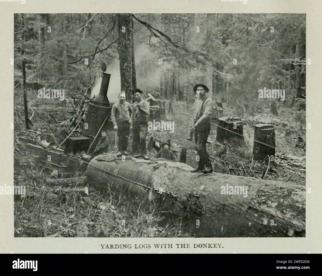 19th century logging hi-res stock photography and images - Alamy