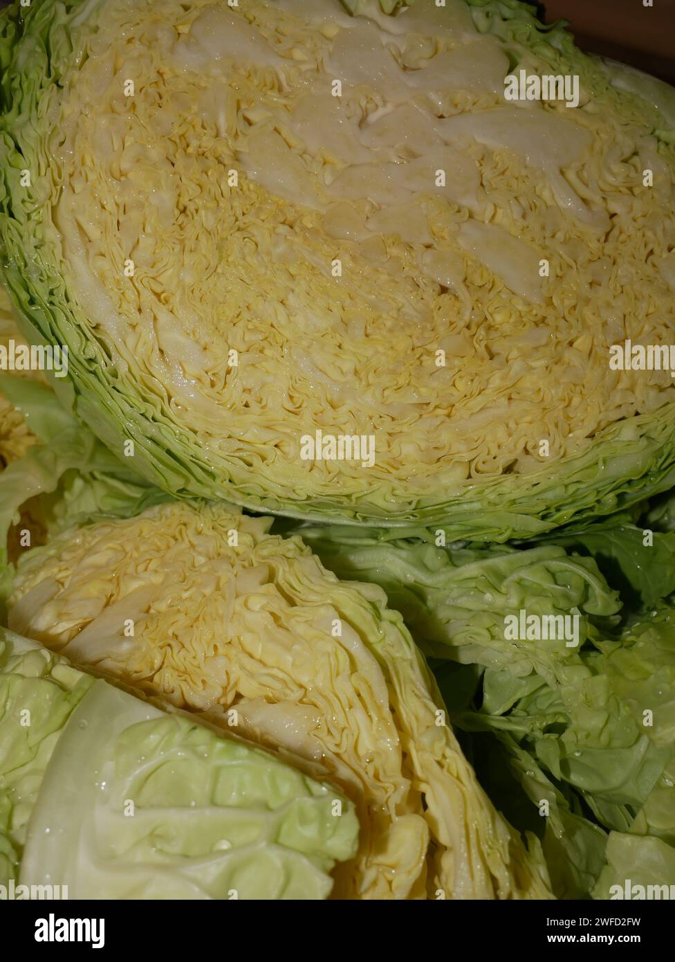 Green cabbage cut and washed ready to be cooked Stock Photo - Alamy