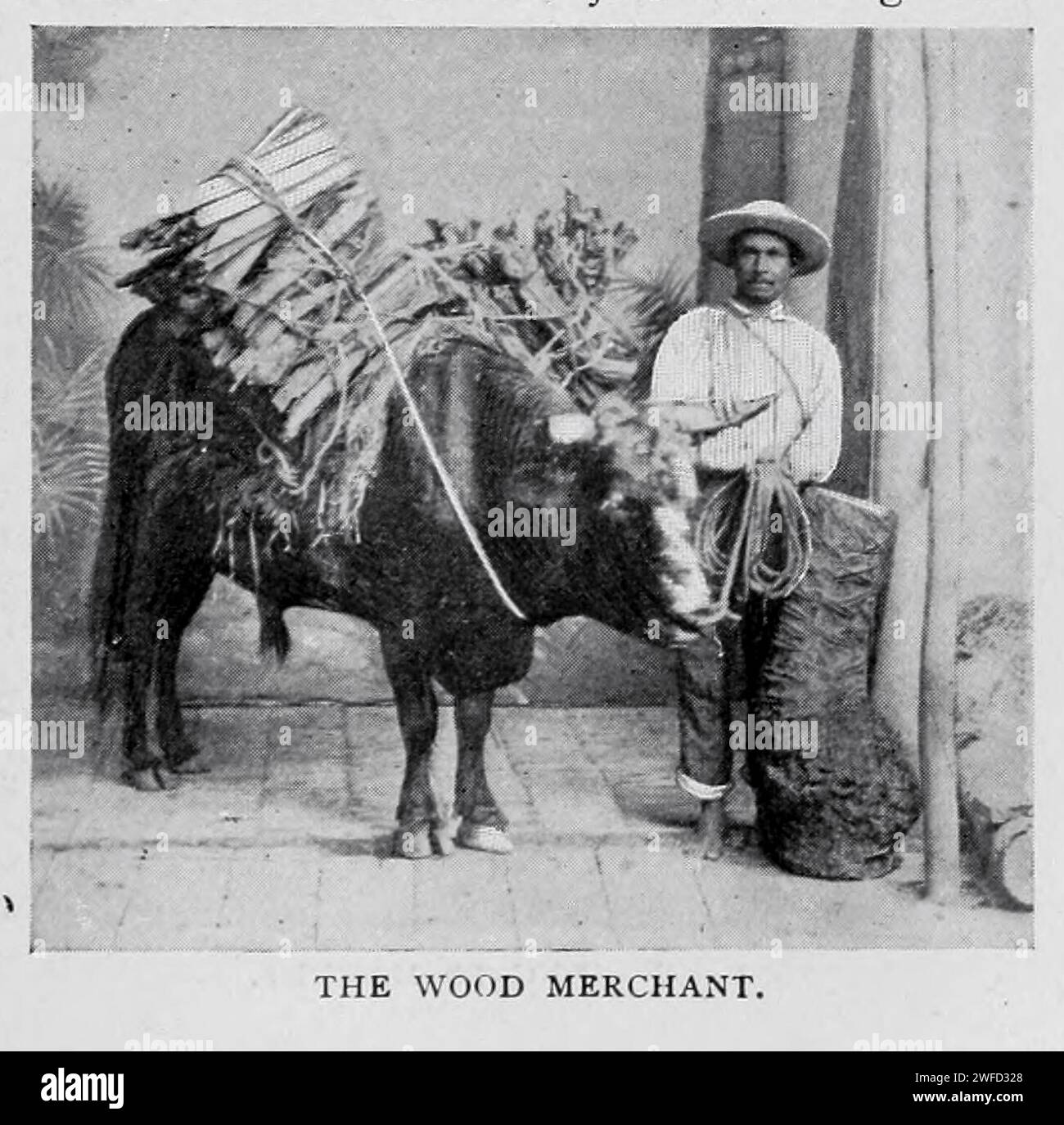 Wood Merchant from the Article DIFFICULTIES OF TRAMSPORTATION IN THE ...