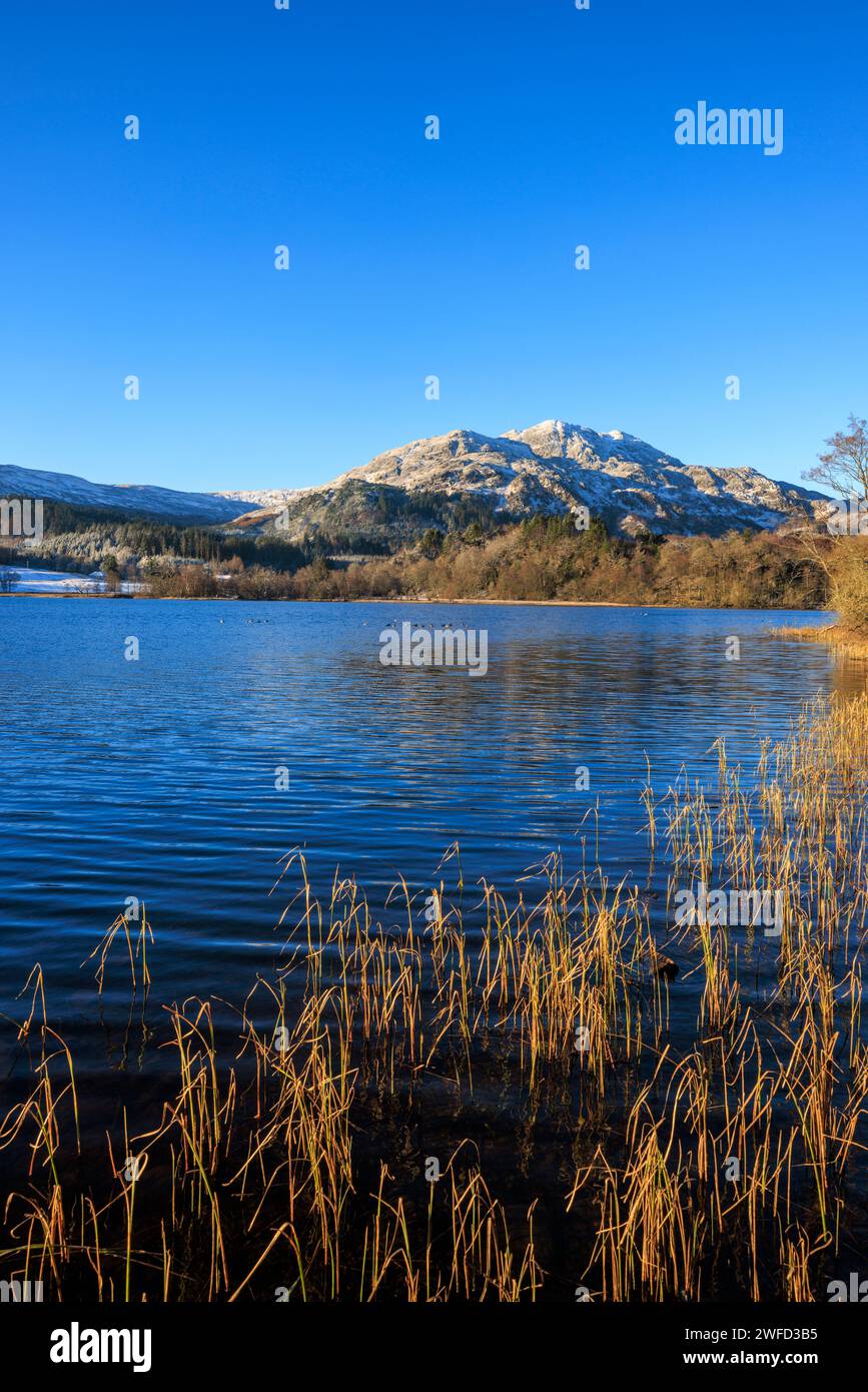Ben Venue across Loch Achray in the winter, Trossachs, Stirling ...