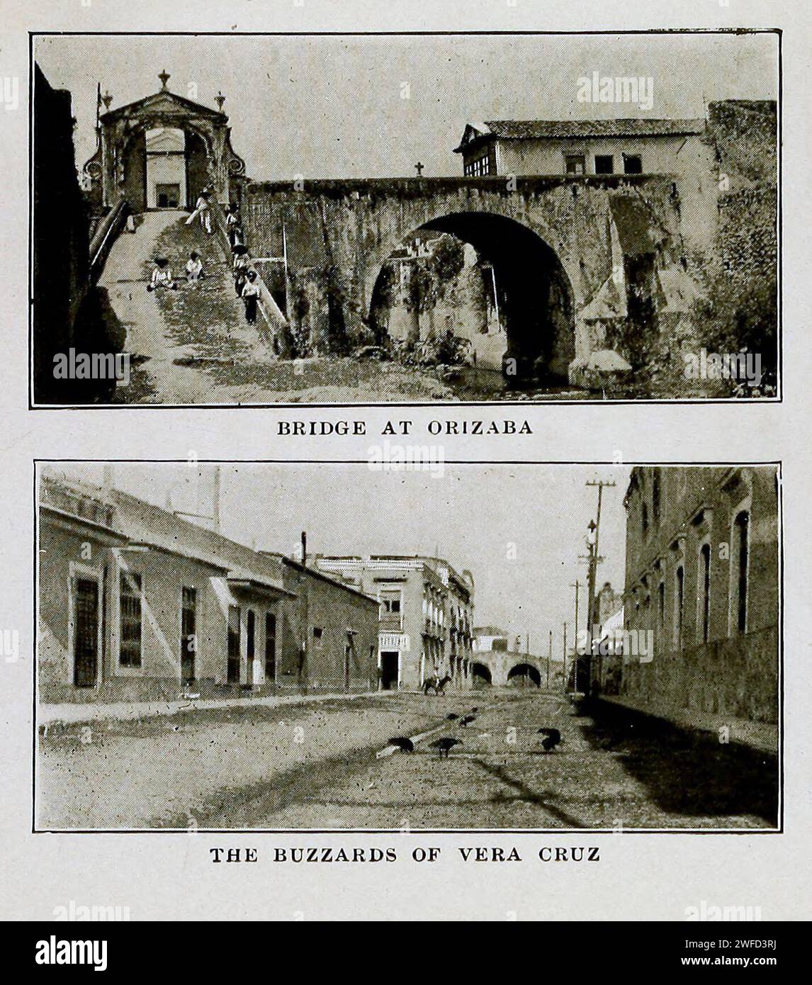 Bridge at Orizaba [top] and The Buzzards of Vera Cruz Veracruz, Mexico ...