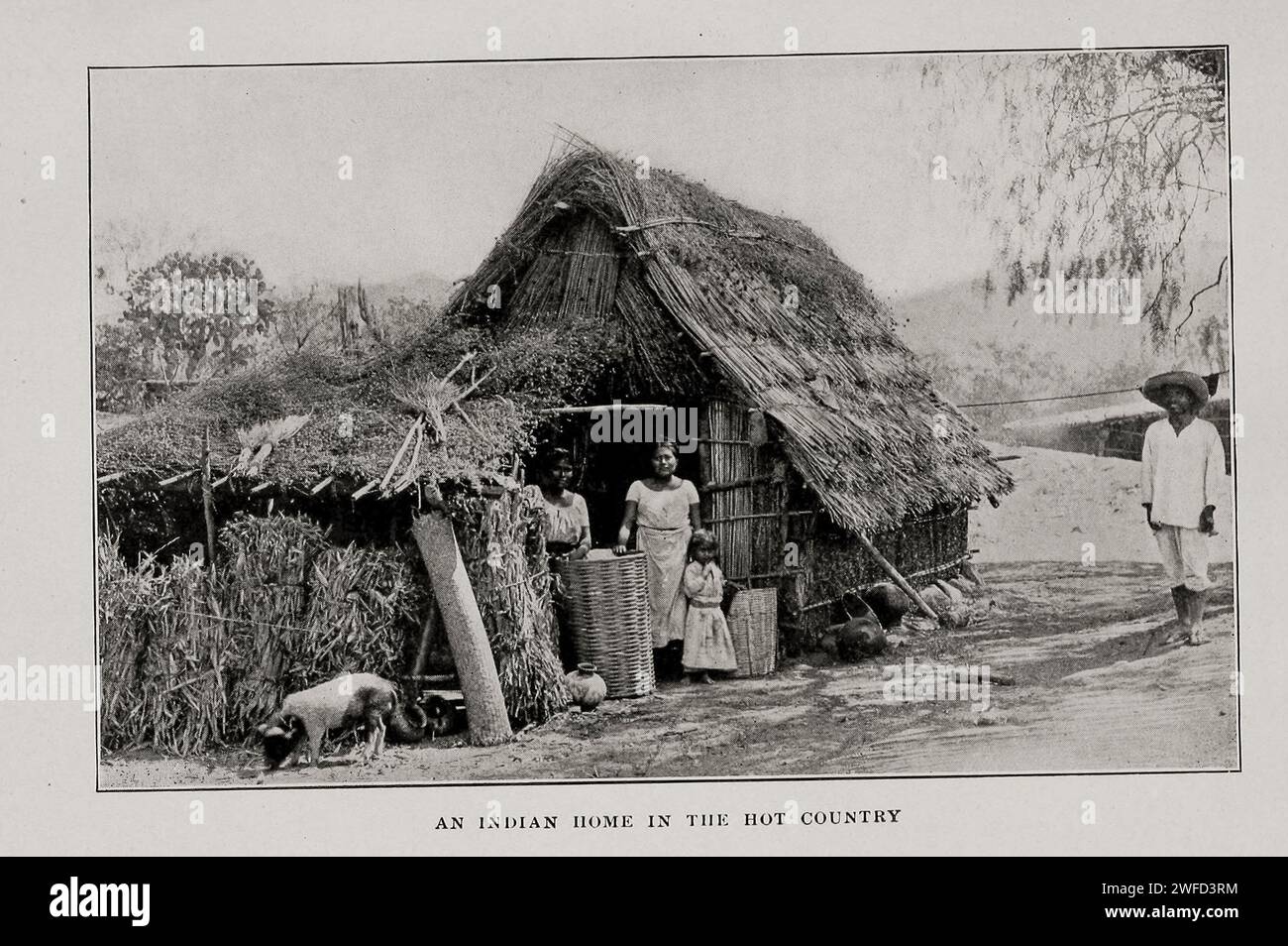 An Indian Home in the Hot Country Mexico by Nevin Otto Winter Stock ...