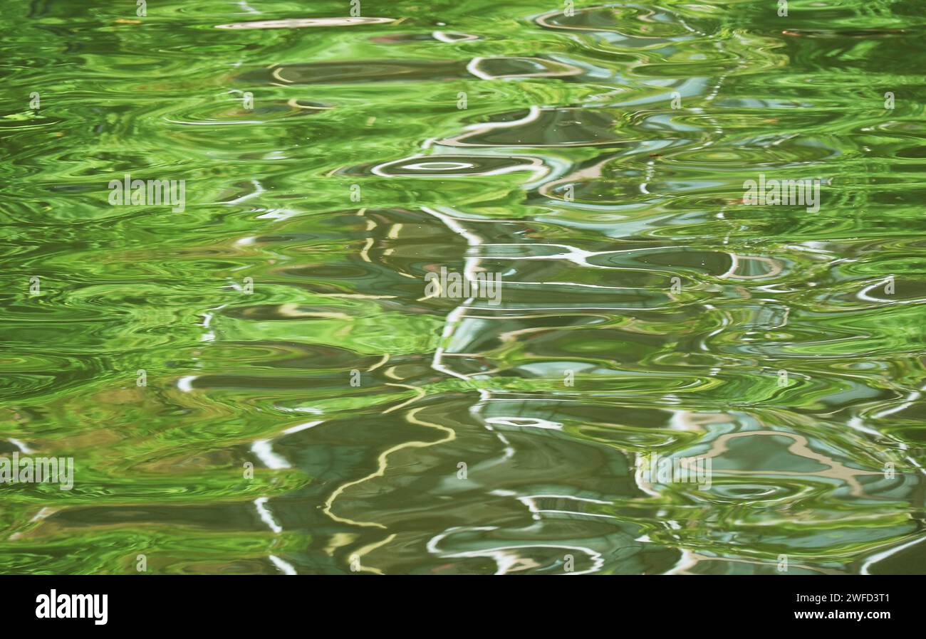 Oil paintings-like water surface with ripples and green foliage ...