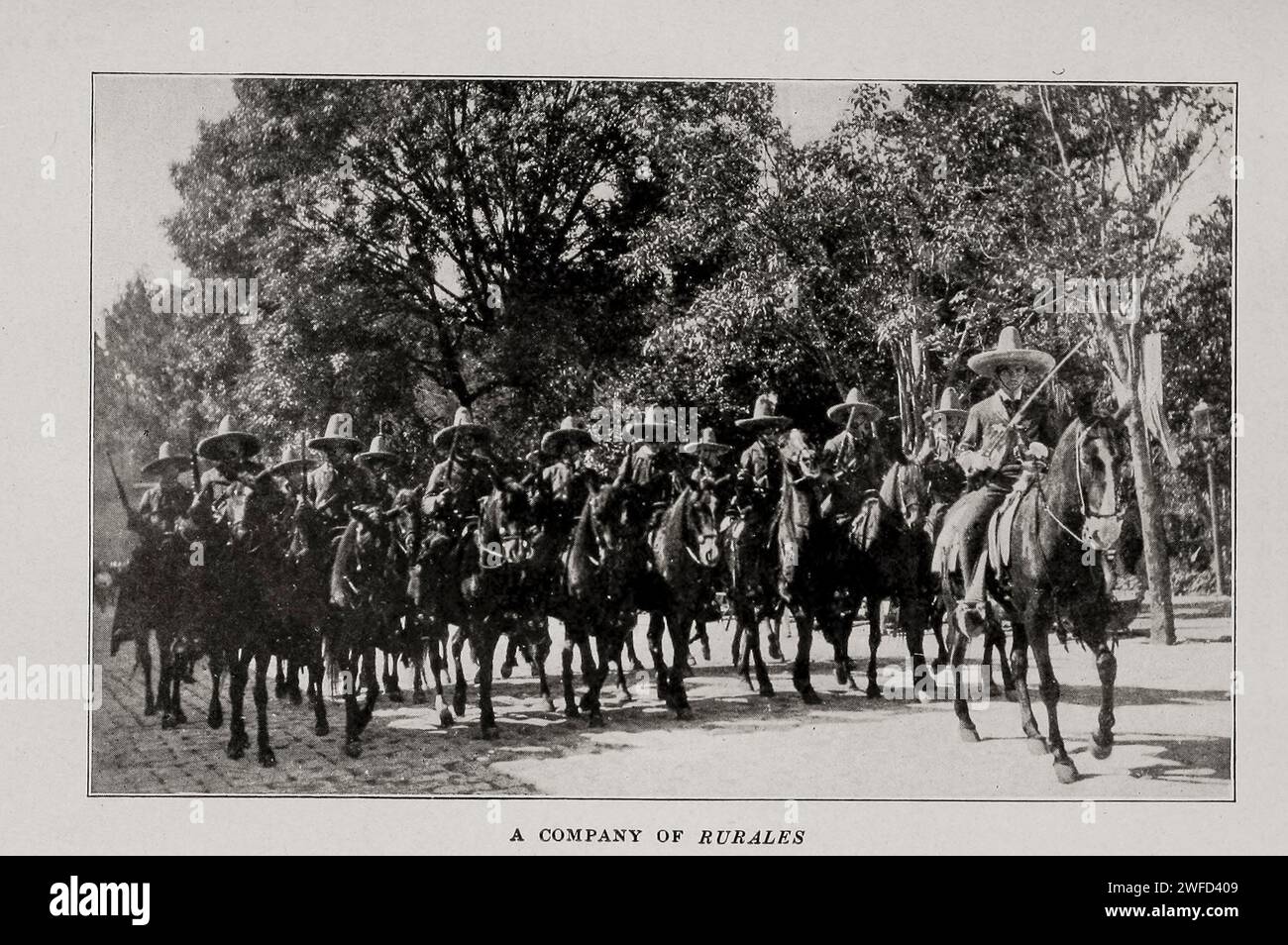 Mexico horse indigenous hi-res stock photography and images - Alamy