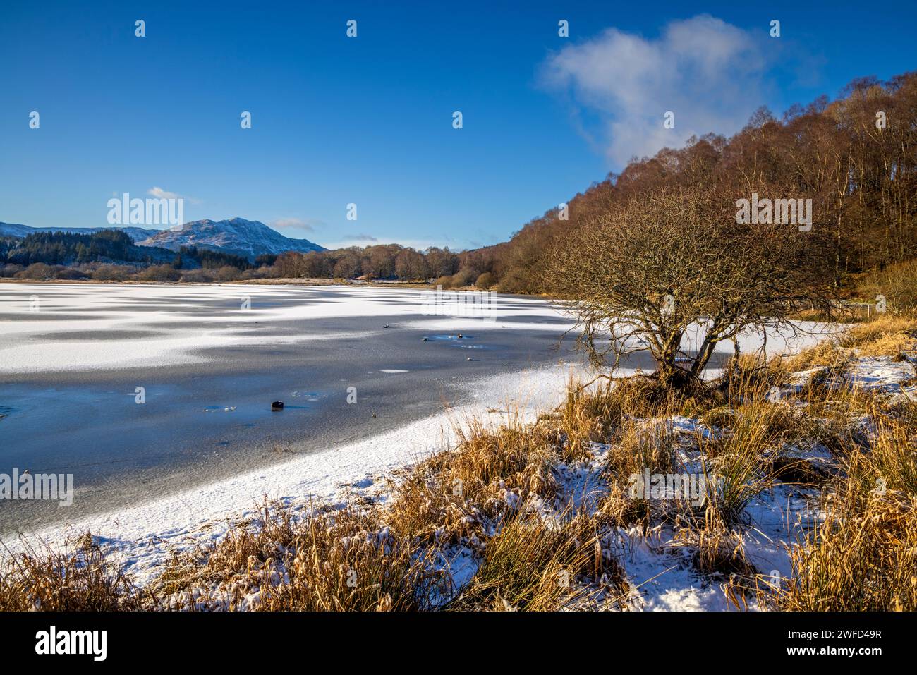 Loch venachar hi-res stock photography and images - Alamy